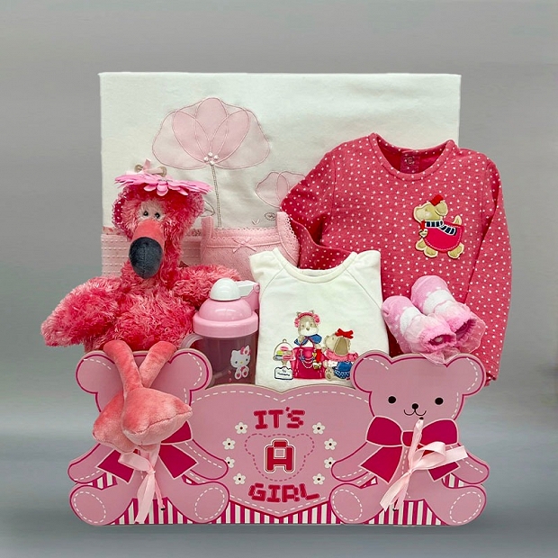 B301 Baby Girl Hamper