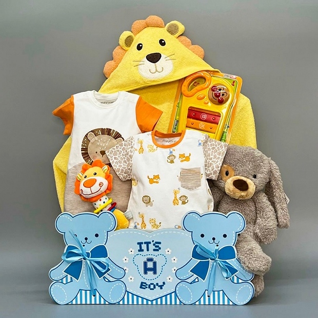 B307 Baby Boy Hamper